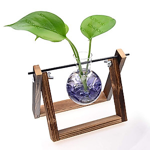 KINGOU Flat Glass Gems/Beads/Stones for Vase Filler, Table Scatter, Games - 1 Lbs (14-16mm, Approx. 5/8")