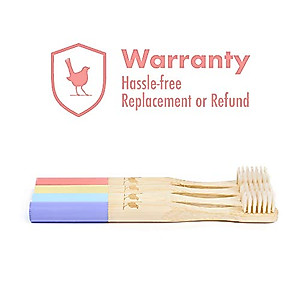 Native Birds Kids Bamboo Toothbrush with Soft Bristles, Set of 4 Eco Friendly Toothbrushes, BPA Free, Designed in Ukraine