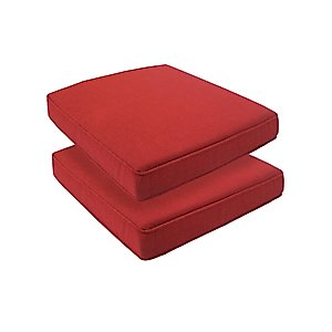 Sunshine Outdoor Patio Cushion Chili Outdoor Chair Pads 20x20 inch with Zipper, Suitable for Patio Furniture and Most Home Depot Furniture 2-Pack