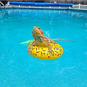 SEZDEKI 5 Pack Bearded Dragon Bathtub Toy - Small Animal Toy Inflatable Float for Hedgehog Lizard Ferret Tortoise Small Pets Accessories Photo Shoot Toy Pet Supplies (5 Pcs)