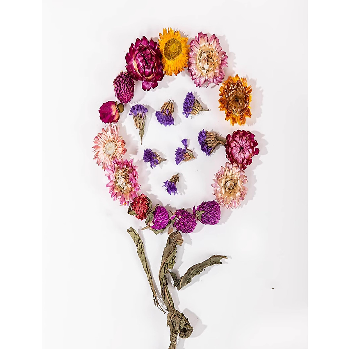 GLOGLOW Small Pet Bedding, Dried Flowers Plants Padding for Squirrels Guinea Pigs Rabbits Chinchillas Hamsters Gerbils(100g) Treats