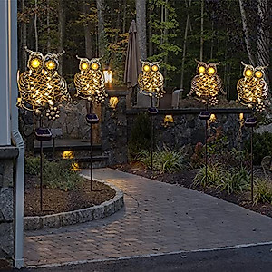 Homeleo Rustic Solar Owl Lights, Outdoor Garden Decorative Owl Stake with Glowing Eyes, Waterproof Pathway Landscape Lighting for Yard Decor, Halloween Christmas Decorations, Unique Gifts for Women