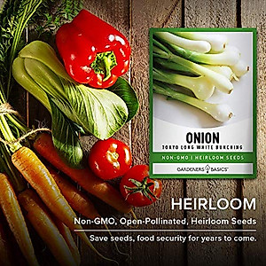 Green Onion Seeds for Planting - Tokyo Long White Bunching is A Great Heirloom, Non-GMO Vegetable Variety- 200 Seeds Great for Outdoor Spring, Winter and Fall Gardening by Gardeners Basics