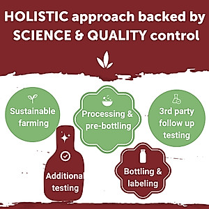 Red Yeast Rice 1200 mg Capsules with CoQ10 - Maintain Healthy Cholesterol Levels, Herbal Heart Health Vegan Red Yeast Rice Supplement - Red Rice Yeast with CoQ10 for Women & Men - 120 Ct (2-Pack)