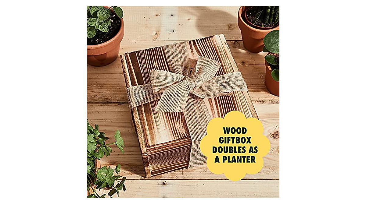 Indoor Vegetable Garden Starter Kit with Exotic Non-GMO Seeds