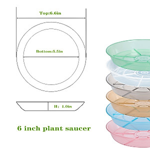 Afrine 6 Pack Plant Saucer Drip Tray, 4 5 6 8 9 10 12 14 16 18 inch, Heavy Sturdy Plastic Planter Flower Pot Saucers for Indoor Outdoor Garden, Plant Water Drip Trays for pots Base (6", Clear)