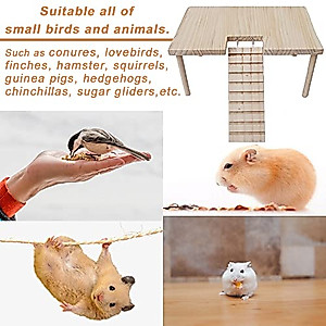 SINFUN Bird Wood Perch Playground Toy Hamster Wooden Play Gym Stand Table Parrot Platform with Climbing Ladder for Parakeet Conure Hamster Squirrel Gerbil Chinchilla Small Medium Birds Animals