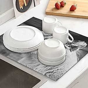 Lioness with Blue Green Eyes Printed Drying Mat For Kitchen Ultra Absorbent Microfiber Dishes Drainer Mats Non-Slip Silicone Quick Dry Pad - 18 X 16inch