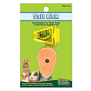 Ware Manufacturing Carrot Salt Lick Small Pet Chew with Holder