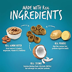 Fruitables Biggies Dog Biscuits – Crunchy Dog Biscuits Made with Pumpkin – Healthy Dog Treats Packed with Real Fruit Flavor – Free of Wheat, Corn and Soy – Almond Butter & Coconut – 16 oz