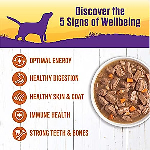 Wellness Thick & Chunky Natural Canned Dog Food, Turkey Stew, 12.5-Ounce Can (Pack of 12)