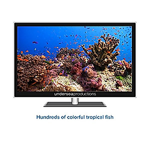 Reefscapes: Nature's Aquarium DVD, nature video of tropical fish and coral reefs filmed in the ocean, for relaxation and ambience