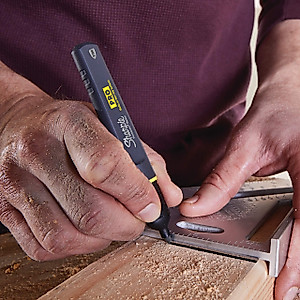 Sharpie Pro Permanent Marker, Fine Point, Black, 12 Count (2017818)