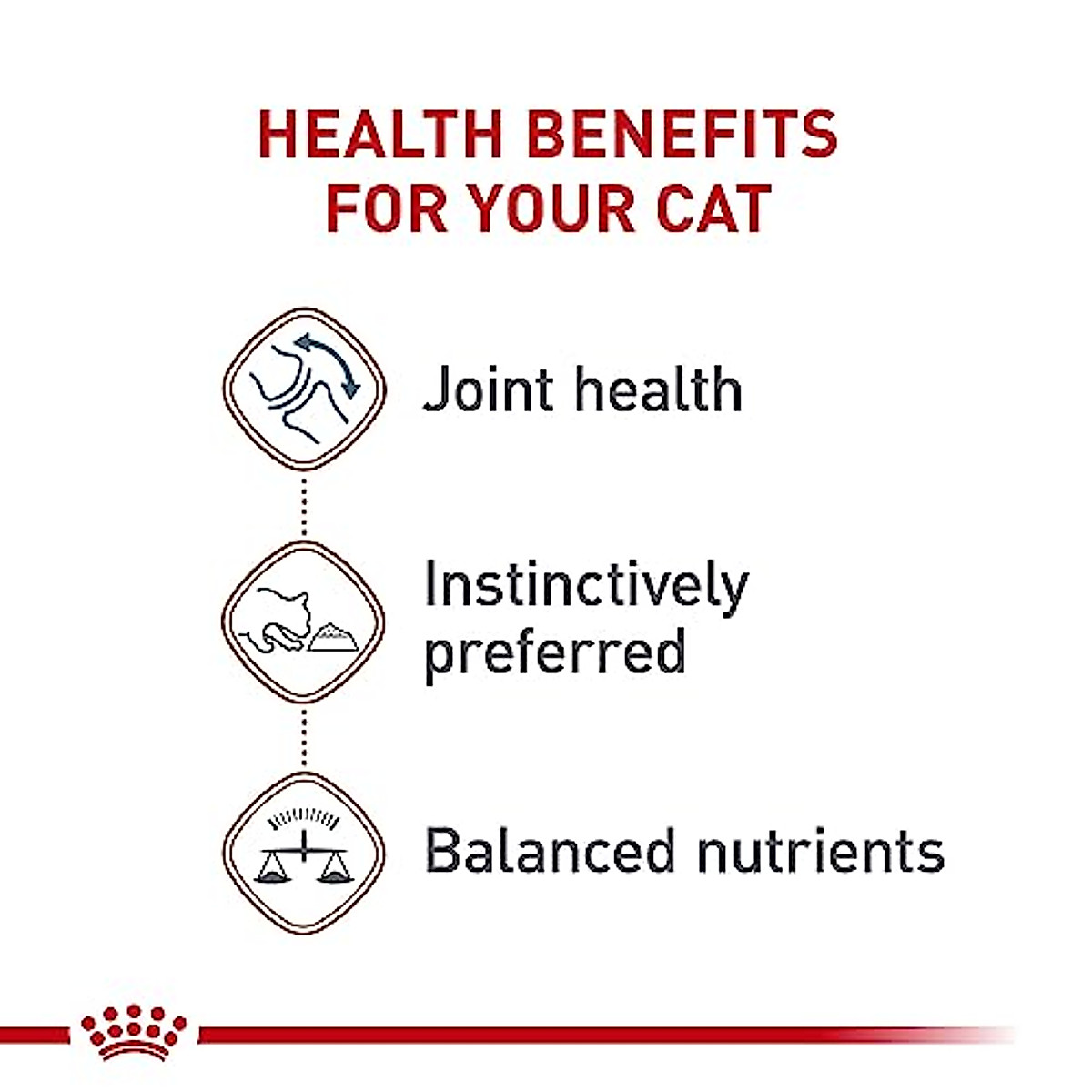 Royal Canin Feline Health Nutrition Aging 12+ Loaf in Sauce Canned Cat Food, 5.1 oz Can (24-Count)