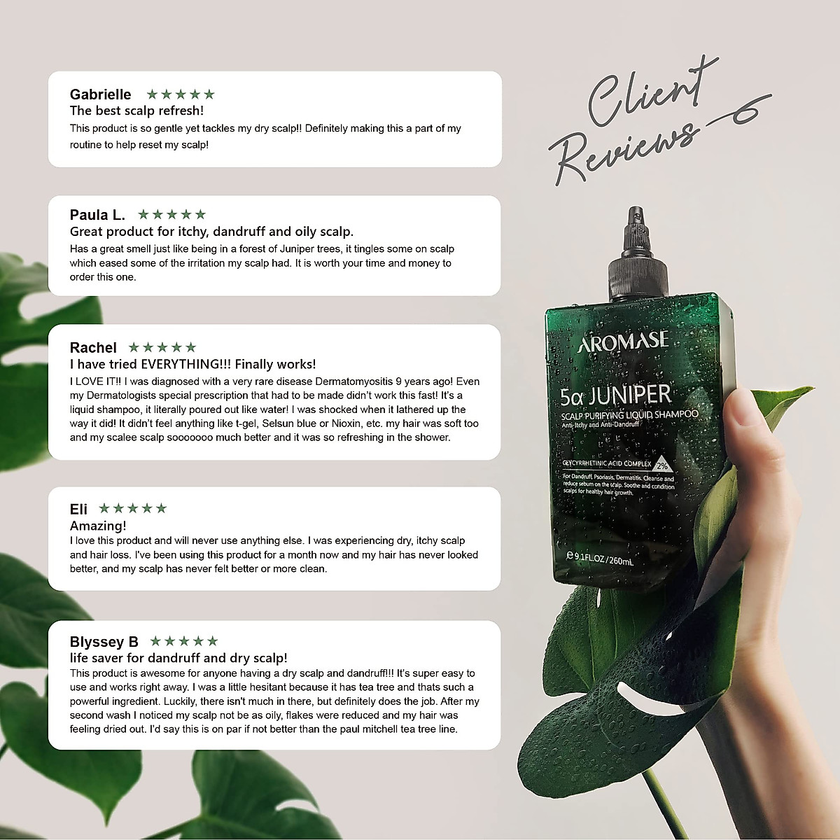 Aromase Oily Dandruff Solution Kit (5α Juniper Scalp Purifying Liquid Shampoo 9.1 Fl Oz + Oily Dandruff Solution Essential Shampoo 14 Fl. Oz) for Dermatitis, Oily itchy Scalp…