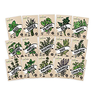 Culinary Herb Seeds Variety 15 Pack—Includes Basil, Cilantro, Parsley,Chives, Thyme, Oregano, Dill, Rosemary,Sage,Arugula,Tarragon,Lavender,Lemon Balm,Marjoram and Rosemary—Non GMO Seeds for Planting