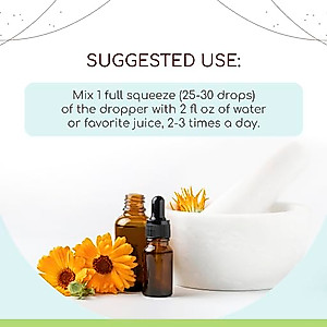 Gentian B120 Alcohol-Free Herbal Extract Tincture, Concentrated Liquid Drops Natural USDA Organic Gentian (Gentiana Lutea) Dried Root (4 fl oz)