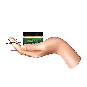 Desert Essence TEA TREE OIL SKIN OINTMENT – Itch Relief, Rash Cream for Razor Burn - Soothing Balm with Lavender & Jojoba - Gluten & Cruelty-Free - 1 oz