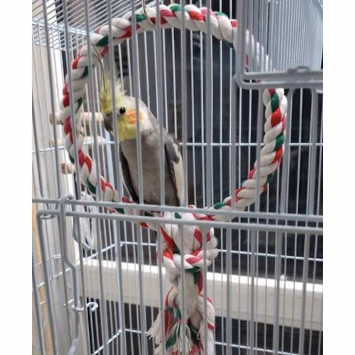 Bird Toys Metal Cotton Rope Swing Bird Toys Circle Ring Parrot Perch Swings Toys Balanced Ring Shape Parrot Cage Toys Bird Hanging Swing Ladder Chewing Toys(Color Randomly) (Large)