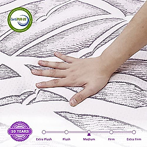 Teoanns Queen Mattress, 10 Inch Memory Foam Mattress in a Box, Individually Wrapped Coils Pocket Springs Hybrid Mattress, Medium Firm for Supportive and Pressure Relief, 100-Night Trial