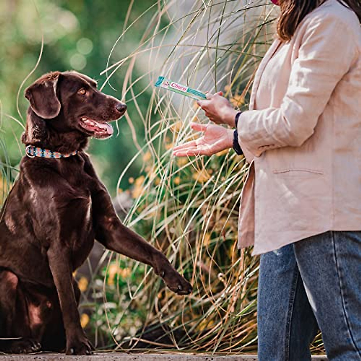INABA Churu Lickable Hand Fed Wet Dog Treat Chicken Variety Pack 40 Tubes
