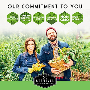 Ultimate Medicinal Herbs Collection - 36 Variety Pack of Herb Seeds for Growing Essential Healing Plants - Mixed Assortment for Homesteaders - Non-GMO Heirloom Varieties - Survival Garden Seeds