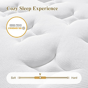 BedStory Queen Mattress, 12 Inch Hybrid Mattress with Gel Memory Foam Pocket Spring Motion Isolation Pressure Relief Medium Feel Queen Size Mattress CertiPUR-US