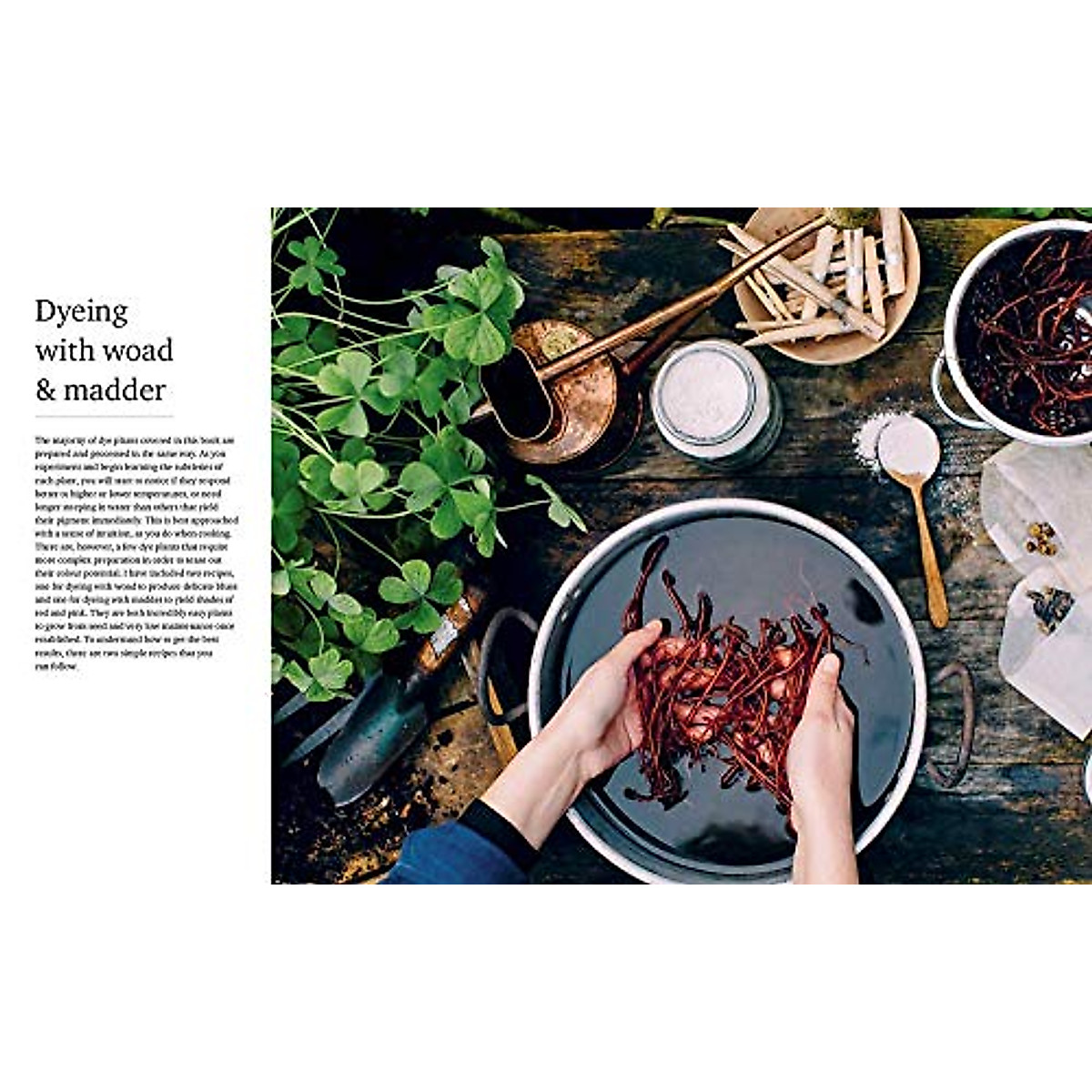 The Wild Dyer: A Maker's Guide to Natural Dyes with Projects to Create and Stitch