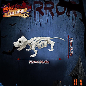 Wocst Halloween Skeleton 19” Pose-N-Stay Puppy Skeleton Plastic Dog Bones with Posable Joints Graveyard Prop for Fall Party Decor Indoor/Outdoor (Skeleton Dog)