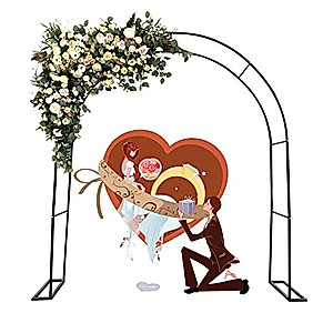 Garden Frame Archway Rose Arches Climbing Frame Flower Stand Garden Trellis Pergola Arbor,Weather Resistant and Stable,Assemble Freely (Color : Black, Size : 47" X 15.5" X 86.5")