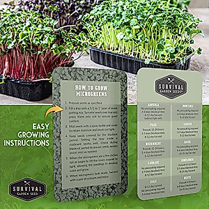 Survival Garden Seeds Microgreens 10 Pack - Instructions to Plant, Sprout, and Grow a Mix of Microgreen Plants - Arugula, Broccoli, Radish, Pea, Sunflower, Basil, Cabbage, Buckwheat, Kale, Beet Seed