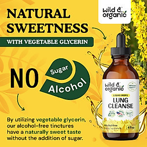 Wild & Organic Lung Cleanse Detox Tincture - Mullein Drops for Lungs - Herbal Mullein Extract Supplement - Vegan, Alcohol-Free Drops - 4 fl oz