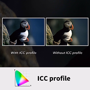 Plustek OpticFilm 8200i AI - 35mm Film & Slides Scanner. IT 8 Calibration Target + SilverFast Ai Studio 8.8, 7200 dpi Resolution 64Bit HDRi , Mac/PC
