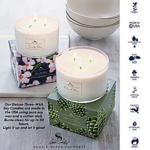 Soap & Paper Factory Roland Pine 18 oz Three-Wick Soy Candle