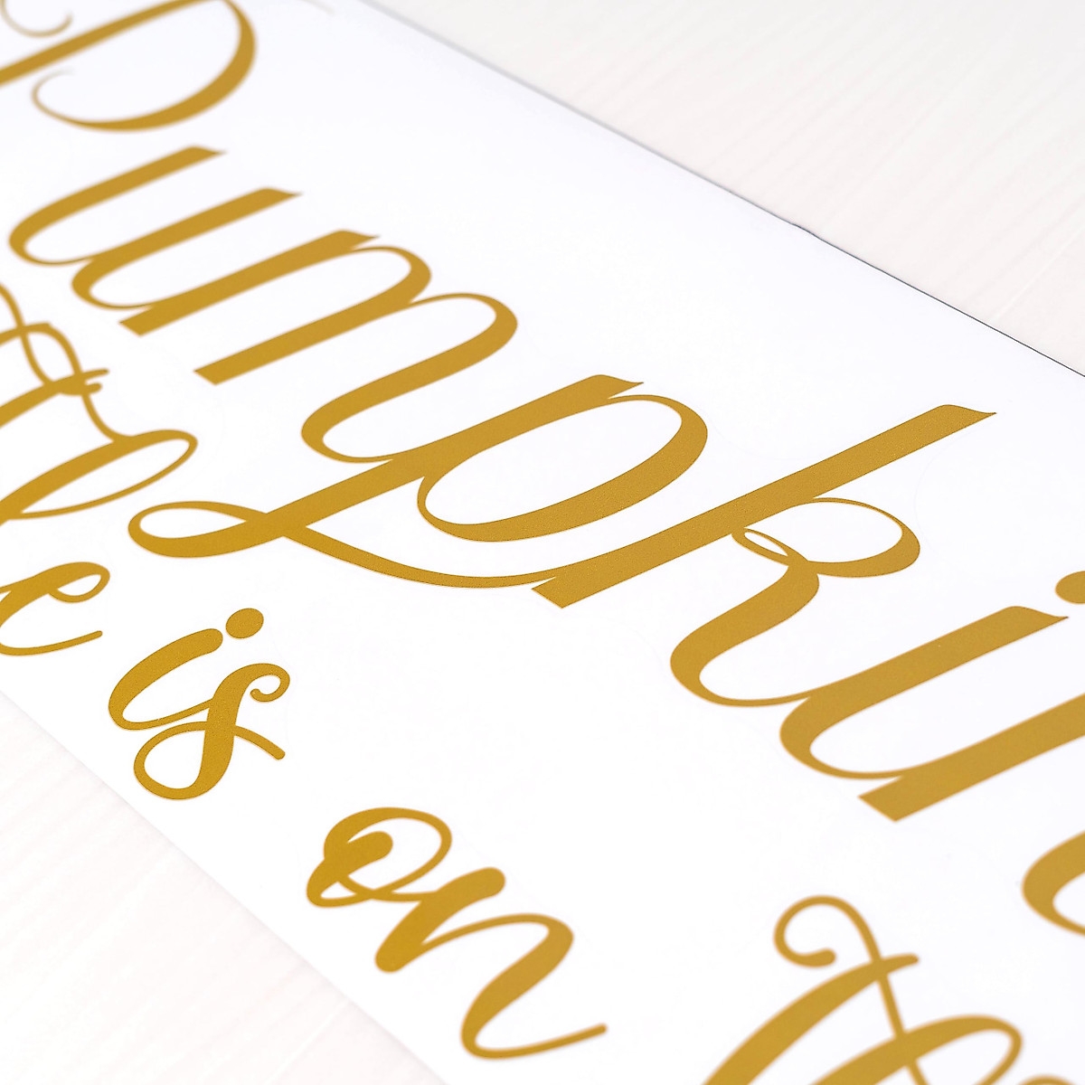 Gostman A Little Pumpkin is On The Way Balloon Arch Decal - Halloween Baby Shower Decorations,Thanksgiving Day Party Decor,Pumpkin Themed Party Supplies (Pumpkin Decal)