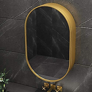 ZTGL Oval LED Lighted Mirror Cabinet, Wall-Mounted Bathroom Medicine Cabinet, Touch Button, Slow Close Hinge, 19.7x31.5 in,Gold,Lights Defogging
