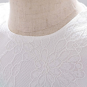 6-24 Months Baby Girl Big Bowknot Lace Flower Wedding Ball Gown Toddler Princess Dresses Pink 6-12 Months