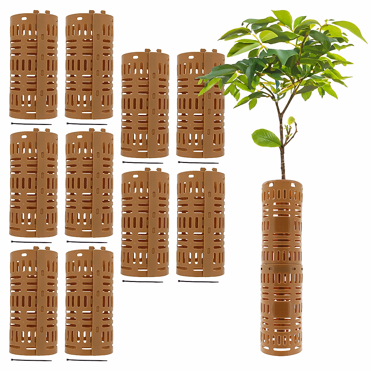 7Penn Tree Trunk Protector Guard - 10pk Plant Protector 13.7 x 9.1in Fruit Tree Fence to Help Shield Trees and Plants