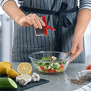 Clear Plastic Empty Spice Container Spice Jars with Lid – Kitchen Bottle Dispenser Store Spice,Herb,Rub,Sugar,Salt,Pepper 2 Way Lids Sift/Pour Shaker–Refillable Airtight Jar Red Cap 8 pk.4 mini 4 big