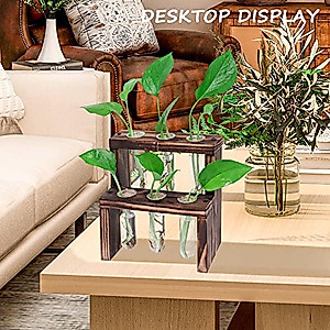 HURZMORO Double Layer Propagation Stations Plant Terrarium with Wooden Stand - 6 Glass Test Tube for Hydroponics Air Plants Indoor House Garden Office Desktop Wall Hanging Decor