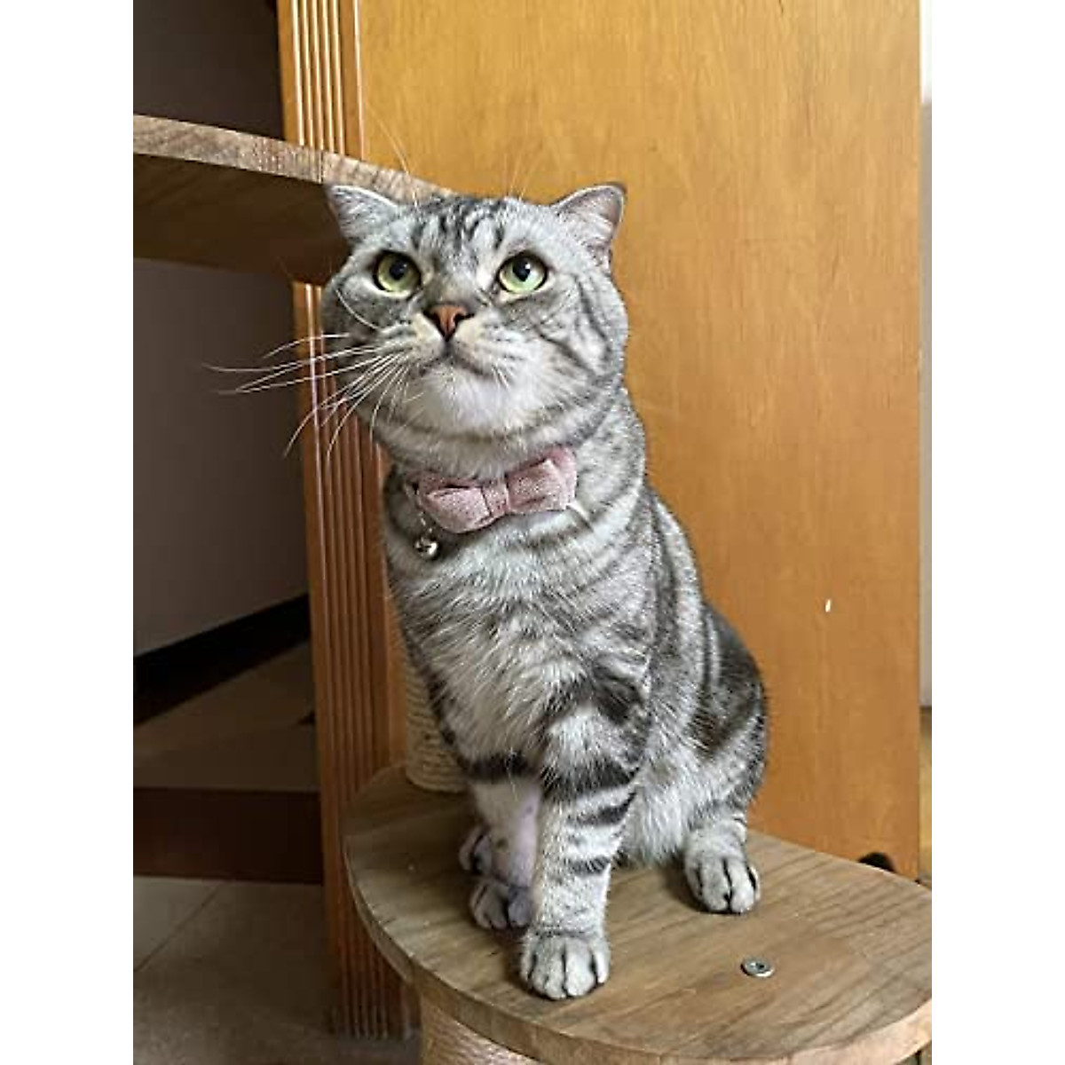 Cat Collar Breakaway with Bowtie Bell, Pink Bling Kitten Collar with Removable Cat Bow Tie Collar for Kitty Cat (7.4-10.8 inch)