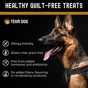 TEAM DOG Beef Trachea Dog Chews | Single Ingredient Dog Treat | 100% Freeze Dried Beef Gullet Sticks for Dogs | Supports Healthy Teeth & Gums | All Natural Esophagus Dog Treats Made in USA | 3 Per Bag