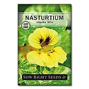 Sow Right Seeds - Alaska Nasturtium Seeds to Plant - Full Instructions for Planting and Growing a Beautiful Flower Garden; Non-GMO Heirloom Seeds; Wonderful Gardening Gift (1)