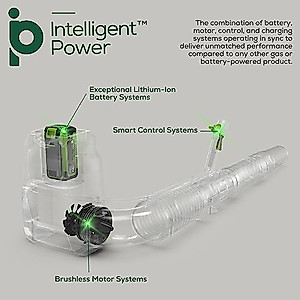 Greenworks 40V (165 MPH / 660 CFM / 75+ Compatible Tools) Cordless Brushless Backpack Leaf Blower, 8.0Ah Battery and Charger Included, Green