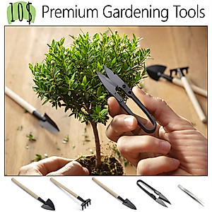 AVERGO Bonsai Tree Kit – 5X Unique Japanese Bonzai Trees | Complete Indoor Bonsai Starter Kit for Growing Bonsai Plants with Tools & Planters – Gardening Gifts for Women & Men