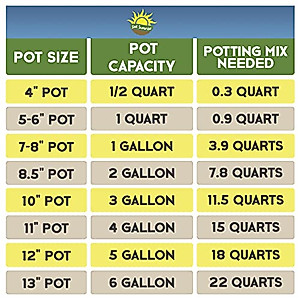 Olive Tree Potting Soil Mix (8 Quarts), for Planting, Repotting, and Growing Olive Bushes/Plants