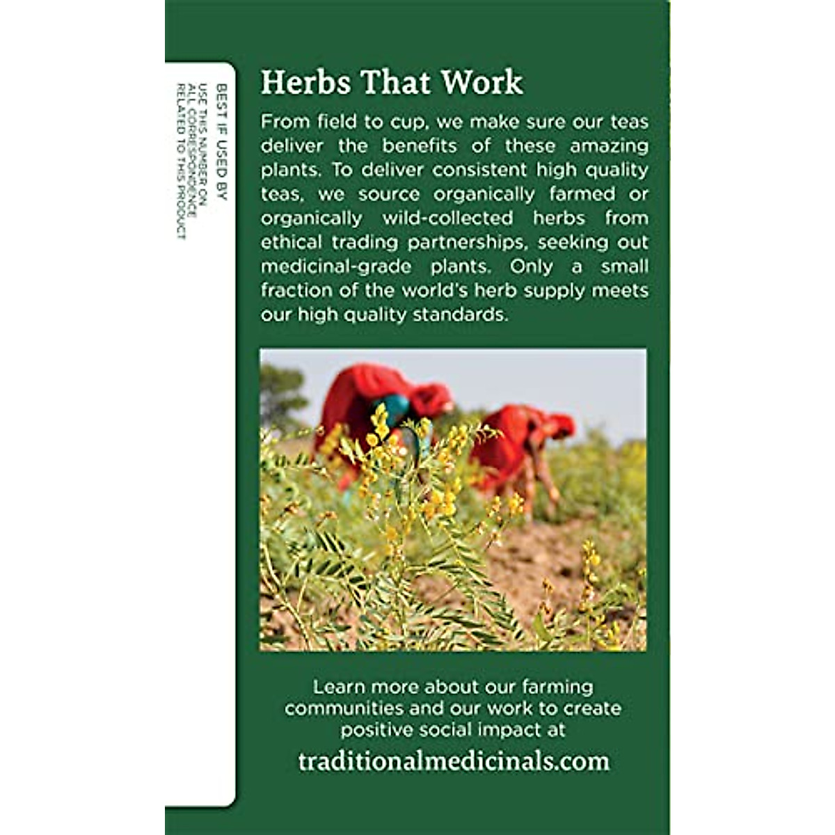 Traditional Medicinals Organic Fennel Herbal Tea, Promotes Digestive Health, (Pack of 4) - 64 Tea Bags Total