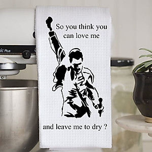 WCGXKO Song Lyrics Inspired Kitchen Towel So You Think You Can Love Me and Leave Me to Dry Dishcloth (Leave Me to Dry)