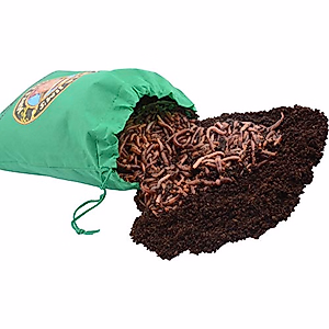Uncle Jim's Worm Farm Live Super Red European Nightcrawlers for Composting and Garden Soil Aeration | Large Live Nightcrawlers Improve Soil Structure and Quality for Healthier Gardens | 100 Count