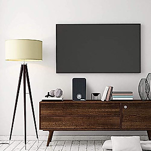 Germ Guardian HEPA Filter Air Purifier with Guardian Technologies GermGuardian Air Purifier Filter FLT4100 Genuine HEPA Replacement Filter